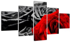 Obraz - Květy růží (125x70 cm)