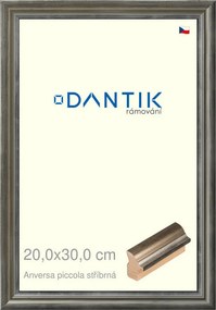 DANTIK rámeček 20x30 | ANIVERSA piccola stříbrná (Sklo Čiré)
