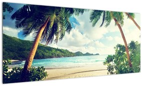 Obraz palem na pláži (100x40cm)