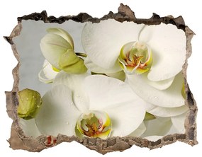 Wallmuralia Samolepící díra nálepka Bílá orchidej 95x64 cm