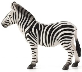 Mojo Zebra