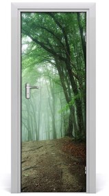 Fototapeta na dveře samolepící mlha v lese 75x205 cm