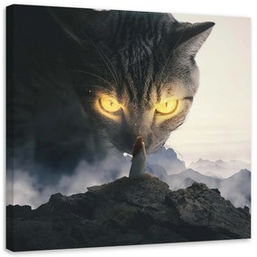 Gario Obraz na plátně Žluté kočičí oči - Zehem Chong Rozměry: 30 x 30 cm