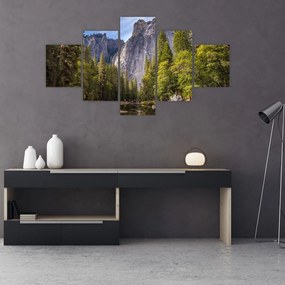 Obraz - Pod Yosemite skálou (125x70 cm)