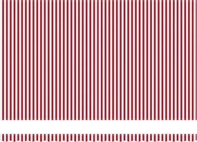 Rám markýzy Červená a Bílá 500 × 300 cm 3331278