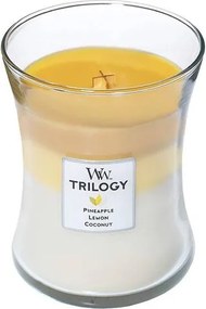 WoodWick Trilogy střední svíčka Fruits of Summer 275 g