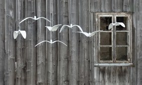 Designové závěsné svítidlo Brokis Night Birds PC962 Povrch Montury: Stříbrný elox, Barva skla: Šedá kouřová - masiv, Povrch baldachýnu: kov - černý matný komaxit
