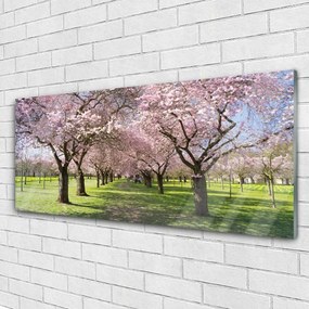 akrylový obraz Stezka Stromy Příroda 125x50 cm