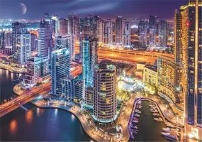 Trefl - Puzzle - 2v1 Noční Dubaj s třídičem / 1000 dílků / 68.3 x 48 c