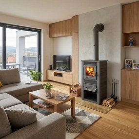 PRO-TERMO ALPINA BOILER 24KW - černá