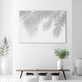 Obraz na plátně, Šedé palmové listy - 100x70 cm