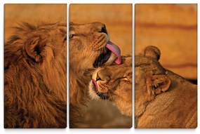 Malvis ® Vícedílný obraz - Lev a lvice Velikost: 150x100 cm