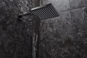 Hansgrohe Pulsify E, hlavová sprcha 260 1jet EcoSmart, chromová, HAN-24331000
