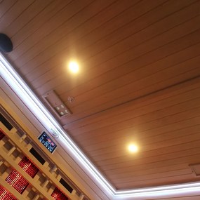 BPS-koupelny Kombinovaná sauna 2v1  - Infrasauna + finská sauna 200x200, 5-6 osob