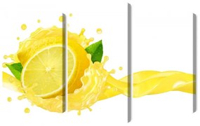 Vícedílný obraz Čerstvá Citronová Šťáva Nedostatek Nedostatek Přírodní plátno 60x40