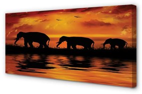 Obrazy na plátně sloni West Lake 140x70 cm
