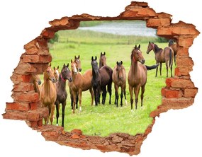 Wallmuralia Díra 3D fototapeta nálepka Stádo koní na louce 90x70 cm