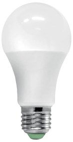 Brilagi | LED Žárovka se senzorem ECOLINE A60 E27/12W/230V 3000K -  Brilagi | BG0716