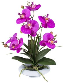 Gasper Orchidej v keramickém květináči, 41 cm, fialová