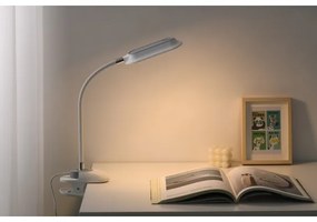 Immax 08997L - LED+CCT Stm stolní lampa s klip CLIP 7,5W/230V bílá