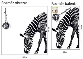 Živá Zeď Samolepka na zeď Zebra