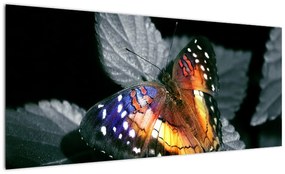 Motýl na listu - obraz (100x40cm)
