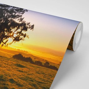 Samolepící fototapeta strom při západu slunce