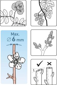 Extol Premium zahradnické přímé 8872105
