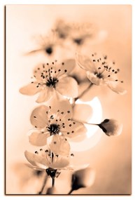 Obraz na plátně - Malé květy na větvi - obdélník 7173FA (100x70 cm)