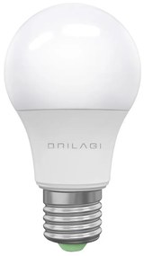 Brilagi | LED Žárovka ECOLINE A60 E27/15W/230V 4000K - Brilagi | BG0282