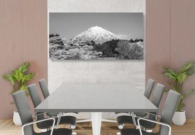 Obraz hora Fuji v černobílém provedení - 120x60 cm
