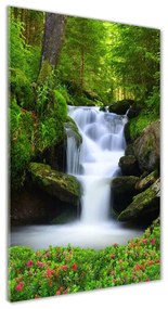 Wallmuralia Vertikální Foto obraz skleněný svislý Vodopád v lese 50x100