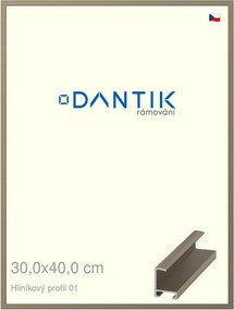 DANTIK rámeček 30x40 | ALU profil 6001 champagne (Plexi Čiré)