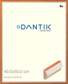 DANTIK rámeček 40x50 | EVOQUE oranžová (Sklo Čiré)