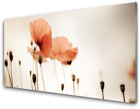 akrylový obraz Máky Rostlina Příroda 140x70 cm