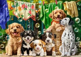 Castorland 54152 Puzzle Štěňata, prádlo a ptačí dovádění / 500 dílků /