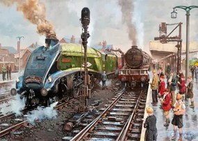 GIBSONS Puzzle Přihlížející v Doncasteru / 1000 dílků / 68 × 49 cm