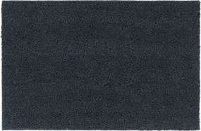 Rohožka před dveře šedá 40 x 60 cm kokosové vlákno 155583