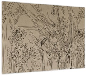 Obraz - Obrysy rostlin (70x50 cm)