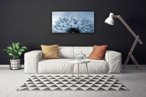 Obraz na plátně Pampeliška Květ Kapky 120x60 cm