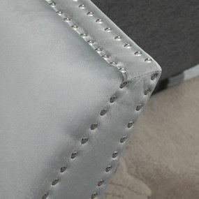 Čalouněná lavice HOMCOM Moderní lavice s knoflíky z kaučukového dřeva a sametu ve světle šedé barvě 114x46x56cm do předsíně a obývacího pokoje | Aoso…