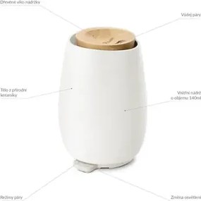 TrueLife AIR Diffuser D8 CERAMIC / difuzér / 140 ml / 2 režimy