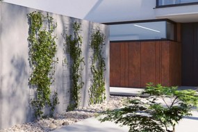 Treláž – opora pro rostliny 90 × 285 cm ✔ Bez držáků na stěnu
