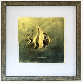 Zlatá rybka II - pigmentový tisk 7/30 - 36 x 36 cm / s rámem
