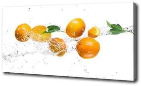 Wallmuralia Foto obraz na plátně Pomeranče a voda 100x50