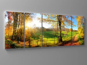 Liox Obraz pešina z lesa Rozměr: 100 x 40 cm