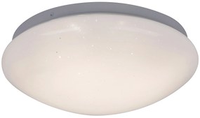 Rabalux LED přisazené stropní svítidlo Lucas 12W | 700lm | 4000K | IP20 | 26cm - kruhové bílé