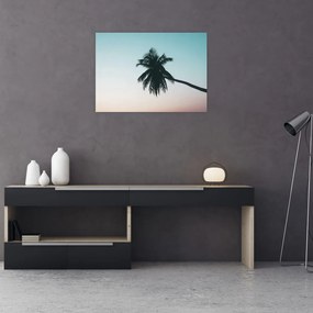 Skleněný obraz - Palma na Bali (70x50 cm)