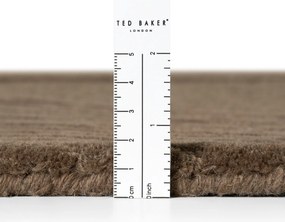 Ted Baker, Kusový koberec Ted Baker Kensington 106401 Brown, 120x170, hnědá, kancelář