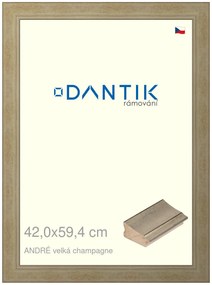 DANTIK rámeček 42x59,4 | ANDRÉ velká champagne (Plexi Čiré)